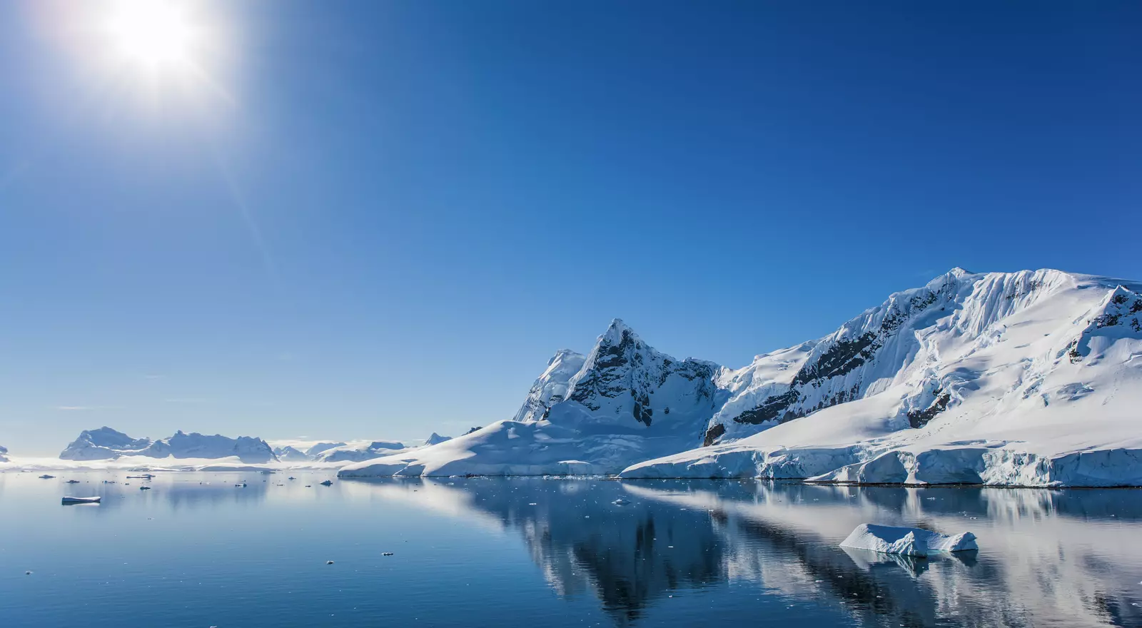 The Wonderful Wildlife of the Seventh Continent | Goway