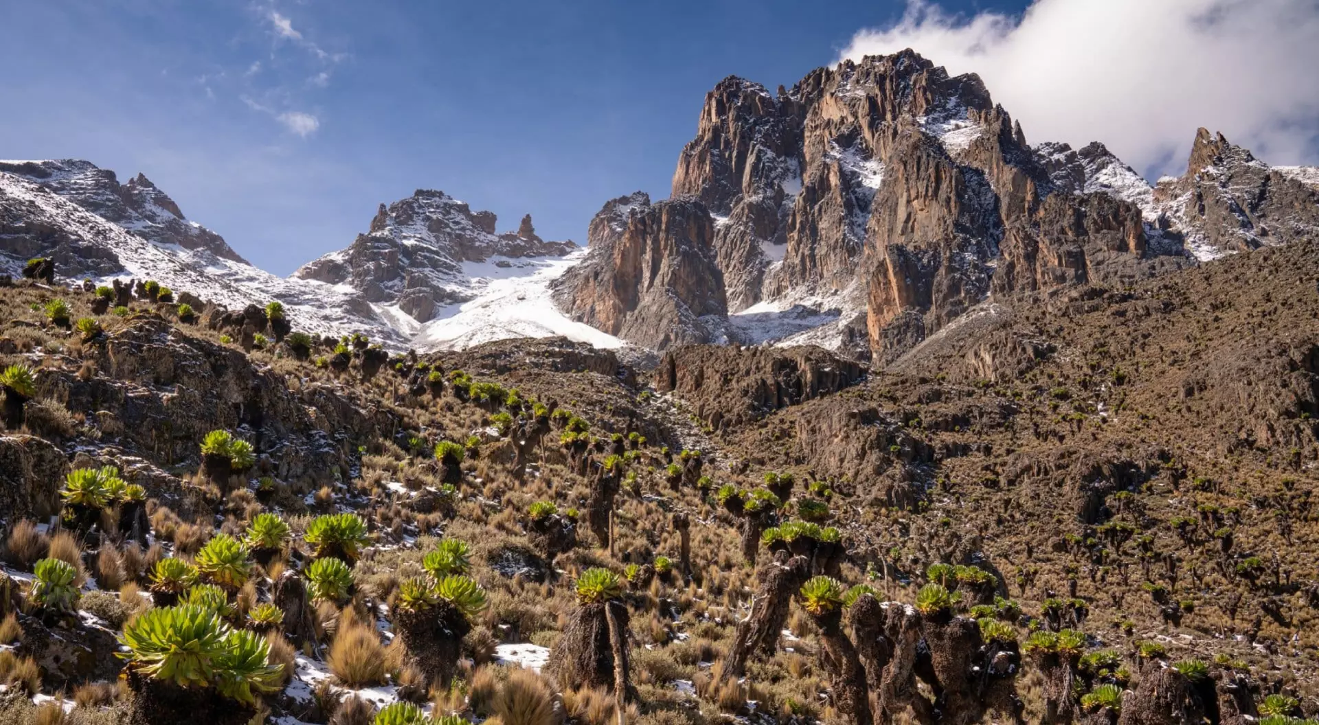 mount kenya webcam