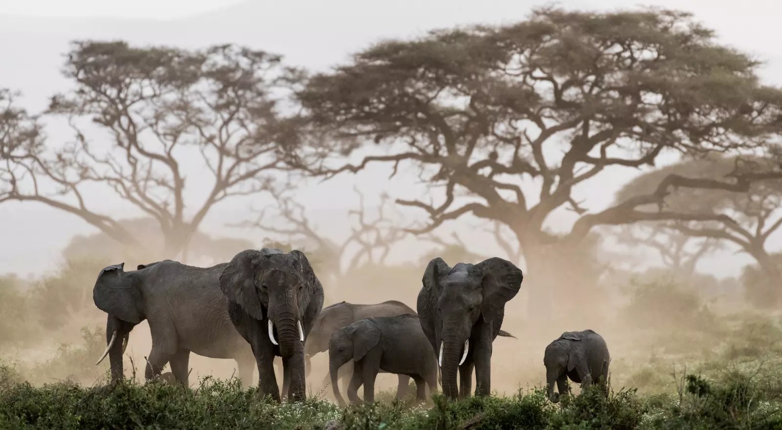 Globetrotting Magazine | Travel Stories to Inspire | Goway Travel