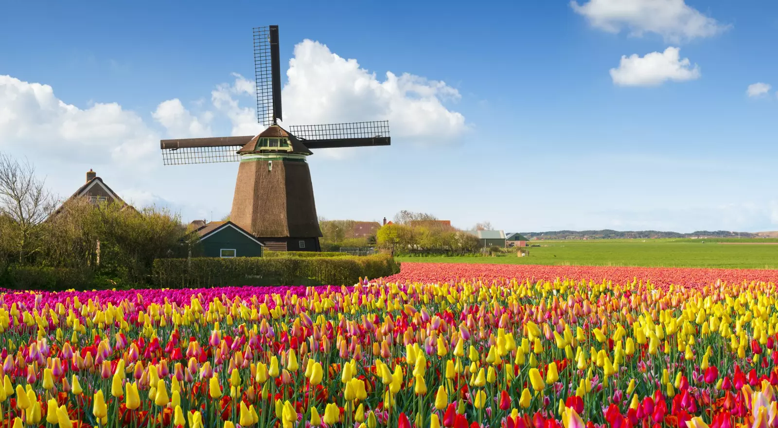 lestrade netherlands