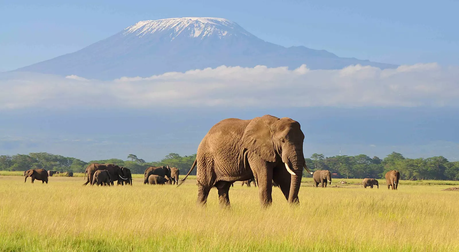 Africa Group Travel: Tailored Tours & Adventures | Goway